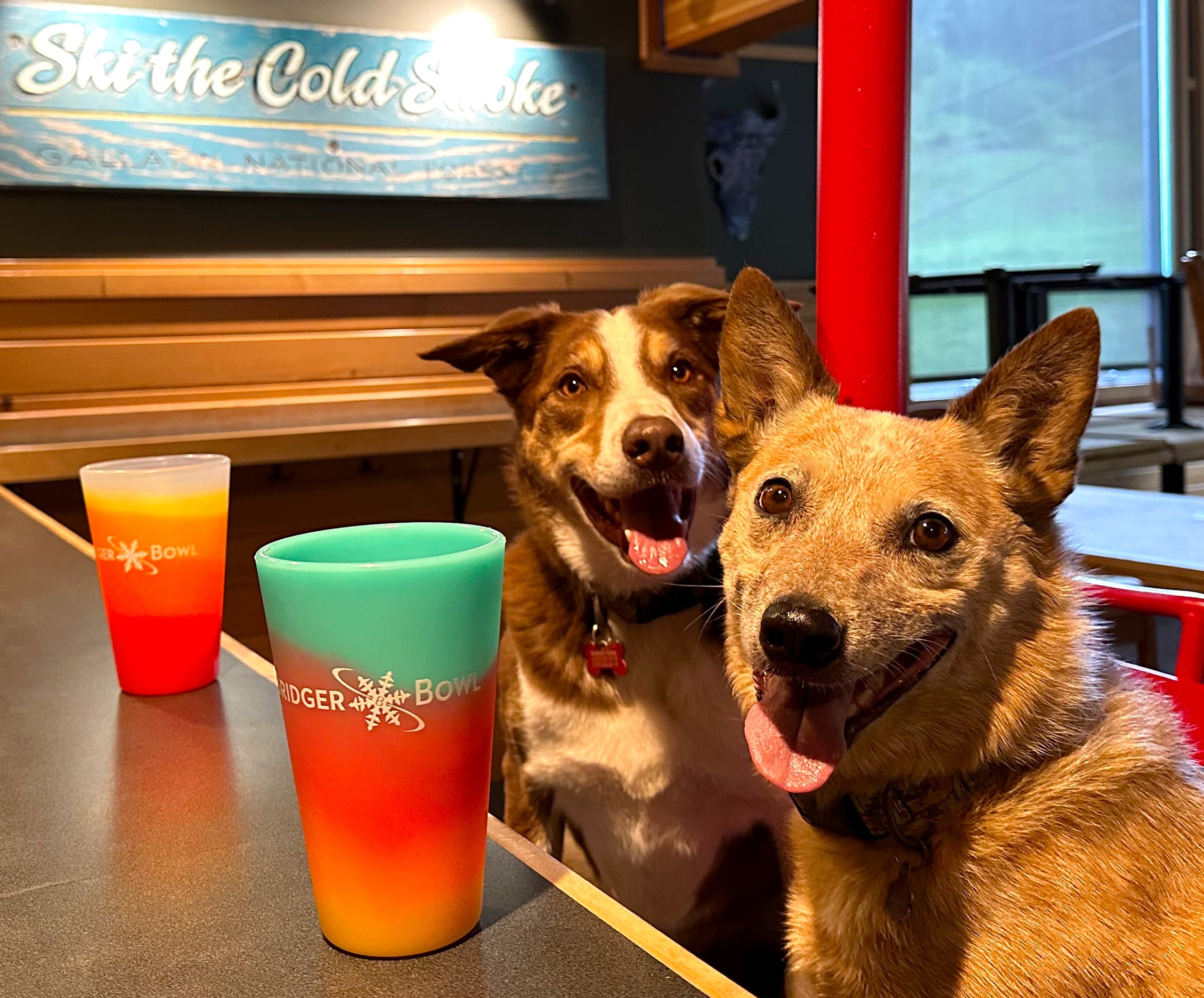 Bridger Bowl Retail Store – Bridger Bowl Ski Area Retail